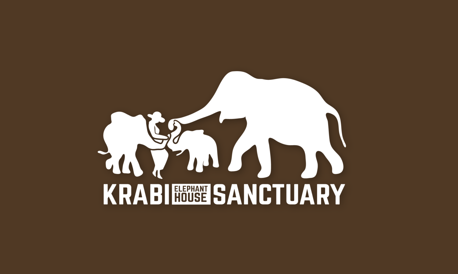 Projects - SPRINGBOARDSOLUTIONS